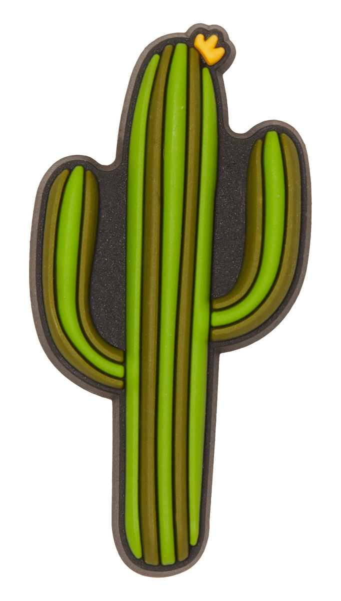 Jibbitz™ Cactus